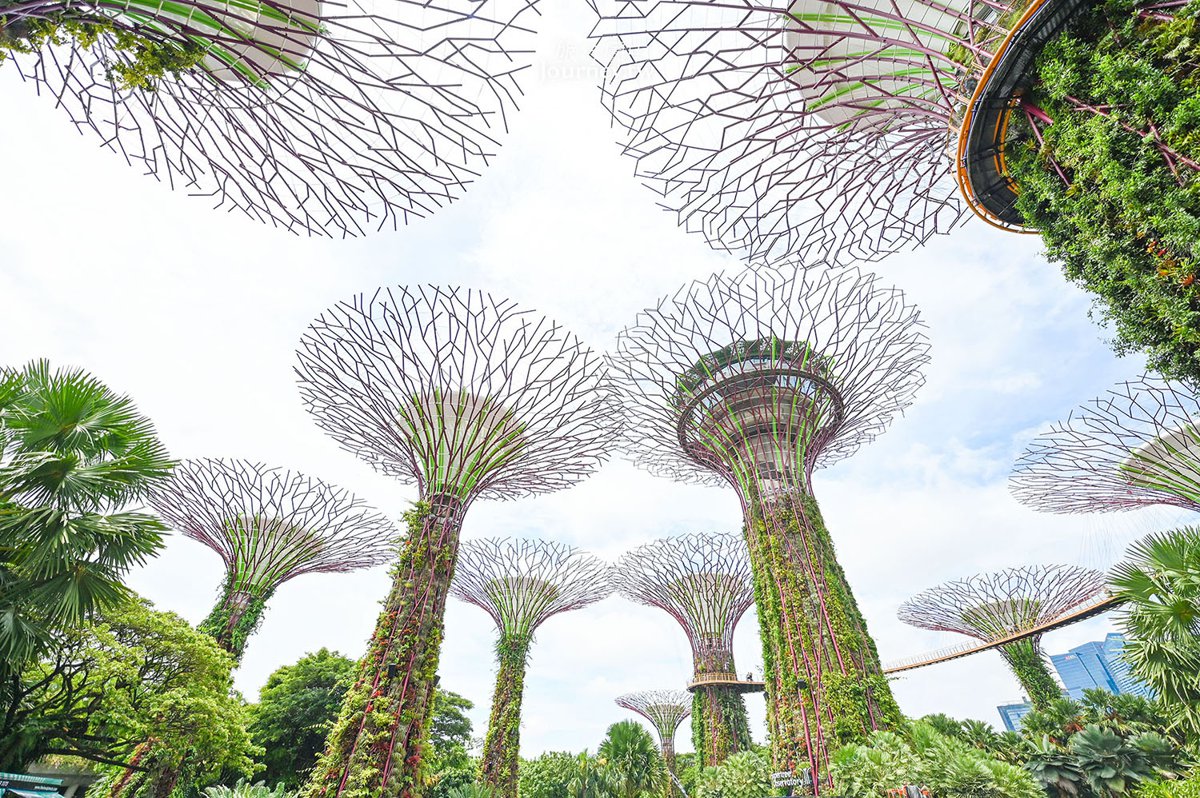 新加坡景點｜OCBC Skyway・登上天空步道！穿梭在超級天空樹之間（Super trees） - 許傑,旅行圖中